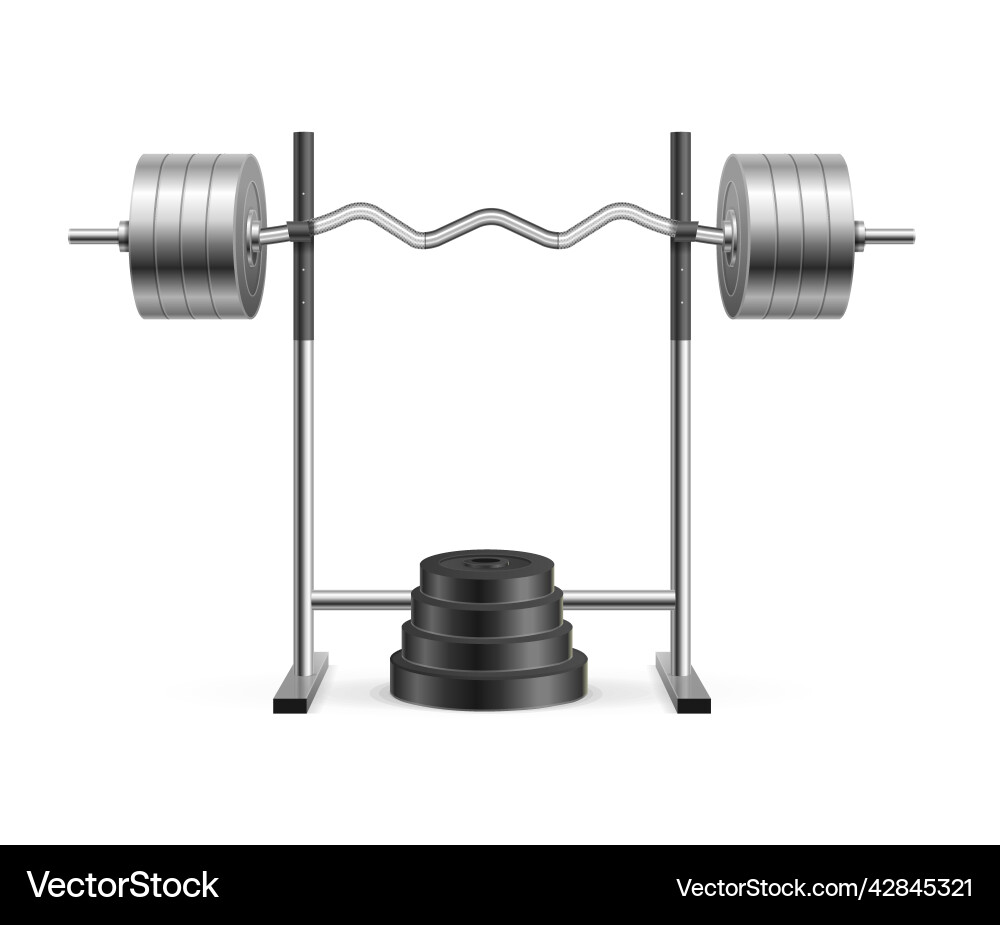 Realistic detailed 3d barbell on metal rack Vector Image
