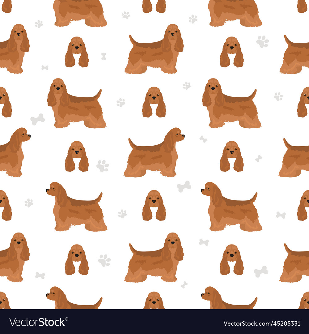 American cocker spaniel seamless pattern Vector Image