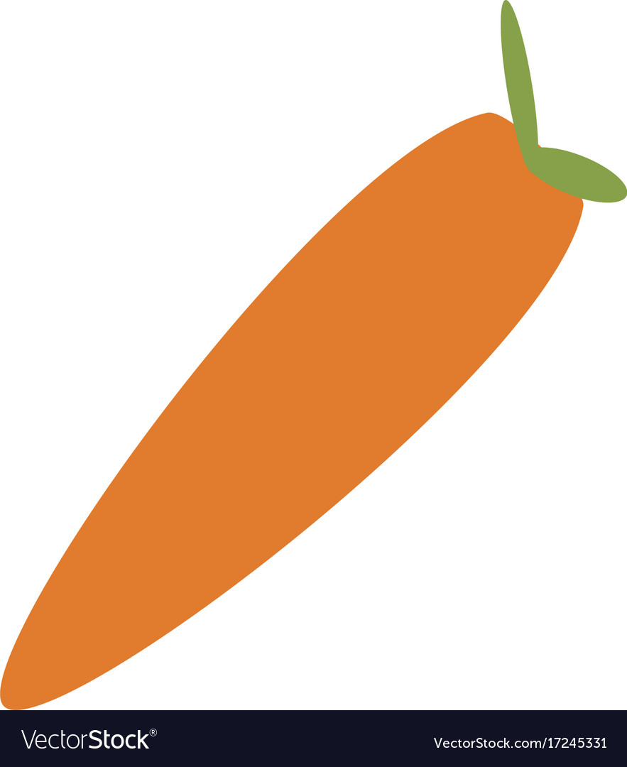 Carrot Royalty Free Vector Image - VectorStock