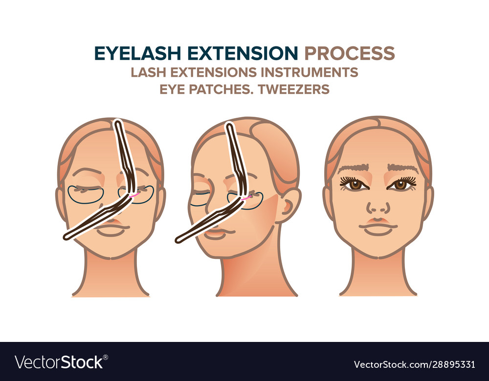 Eyelash extension process lash Royalty Free Vector Image