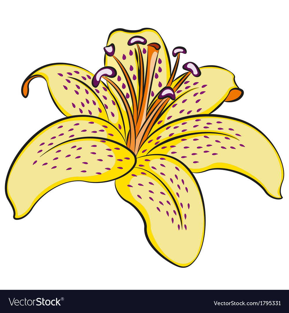 Lili Royalty Free Vector Image - VectorStock