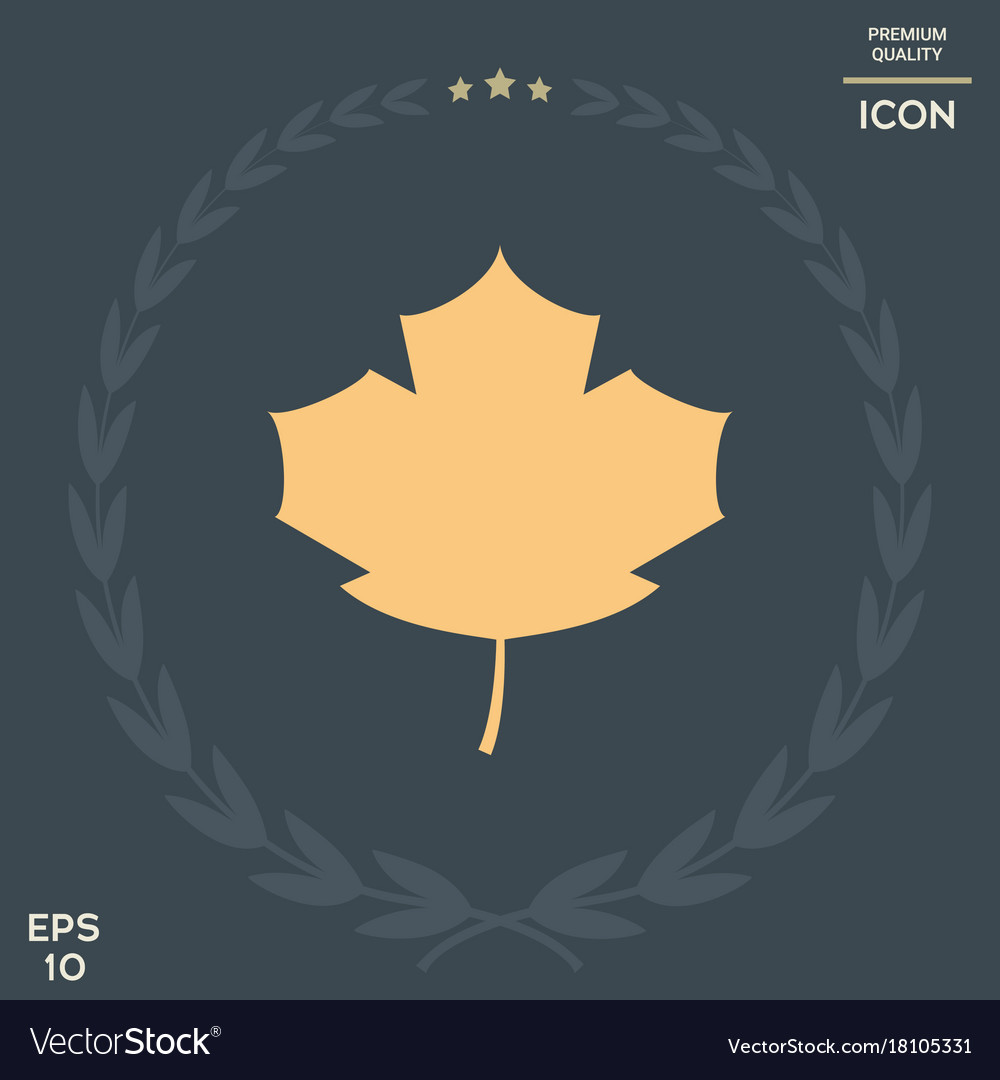 Maple leaf icon Royalty Free Vector Image - VectorStock