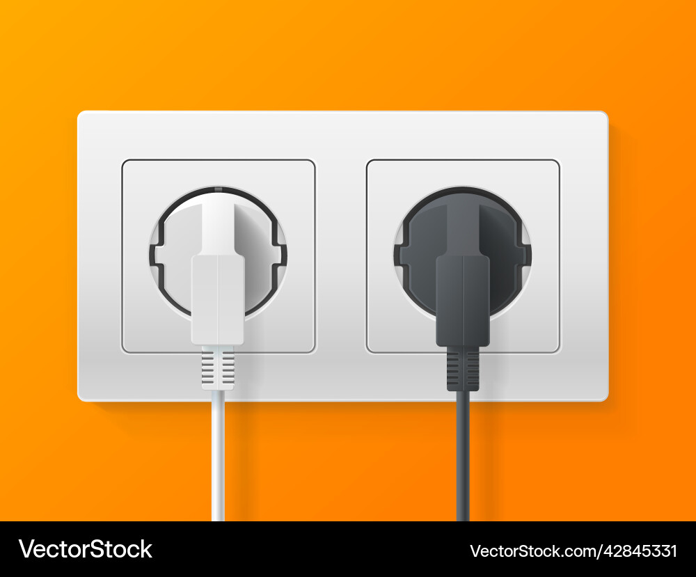 Realistic detailed 3d white and black plugs Vector Image
