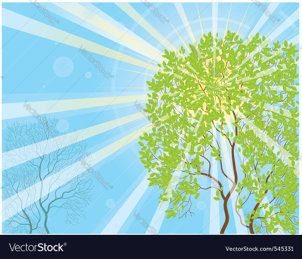 Sun rays Royalty Free Vector Image - VectorStock