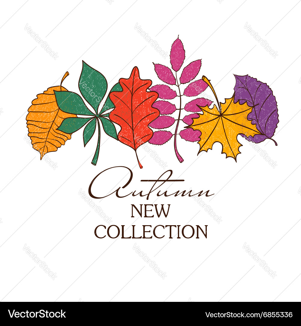 Colorful autumn leaves concept Royalty Free Vector Image