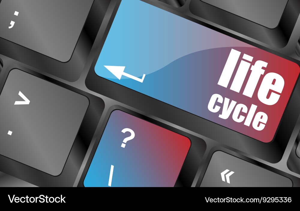 Life cycle on laptop keyboard key Royalty Free Vector Image
