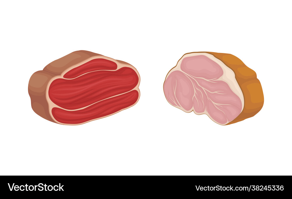 Meat with tenderloin slabs as foodstuff from Vector Image