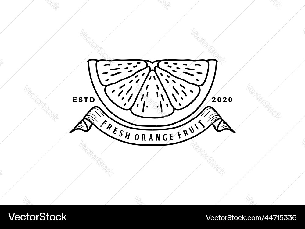 Vintage retro orange lemon lime citrus slice Vector Image