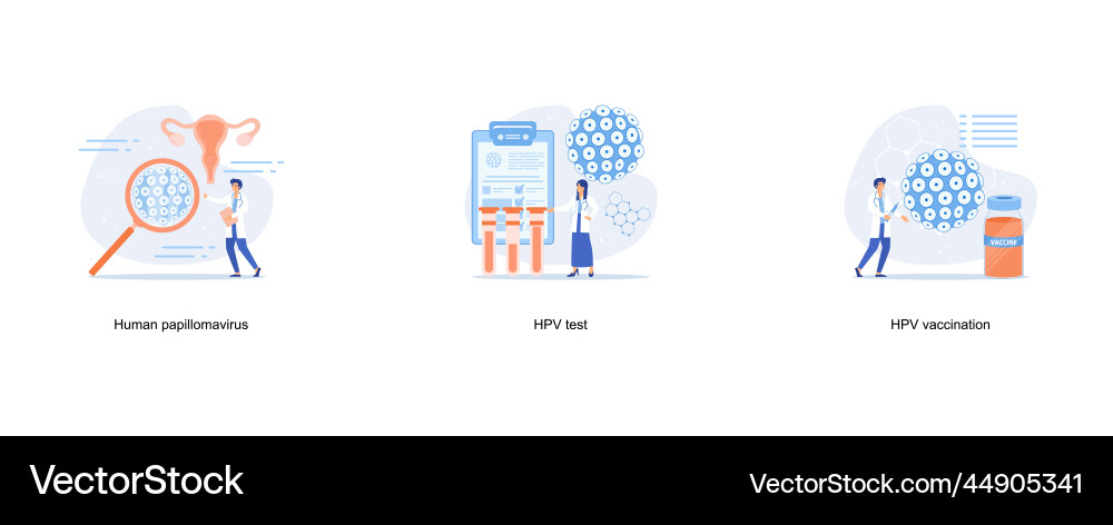 Doctors talk about the human papillomavirus hpv Vector Image