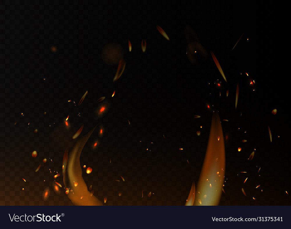 Realistic isolated fire effect Royalty Free Vector Image