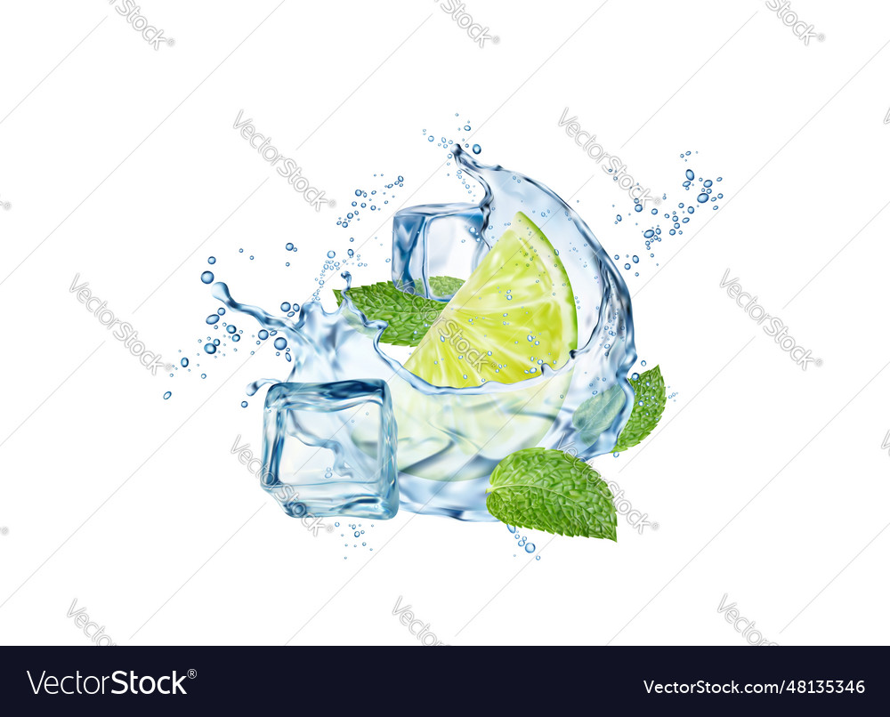 Mojito drink wave splash with lime ice cubes Vector Image