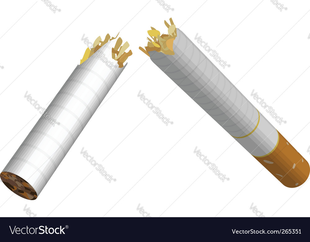 Broken cigarette Royalty Free Vector Image - VectorStock