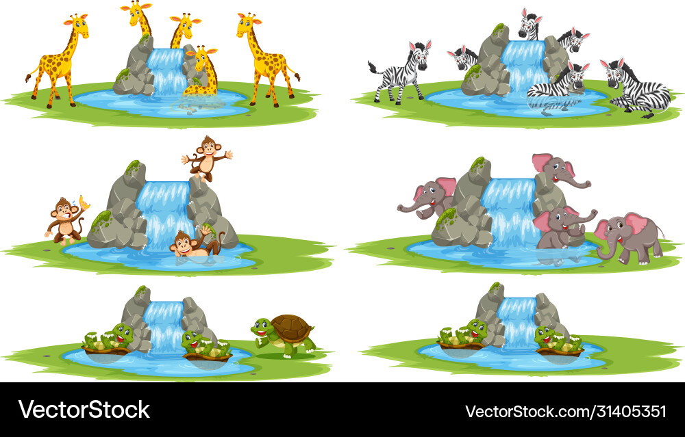 Group wild animals and small waterfall cartoon Vector Image