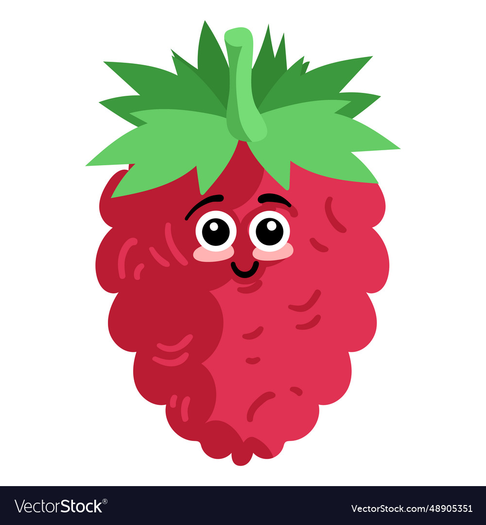 Leaf raspberry flat Royalty Free Vector Image - VectorStock