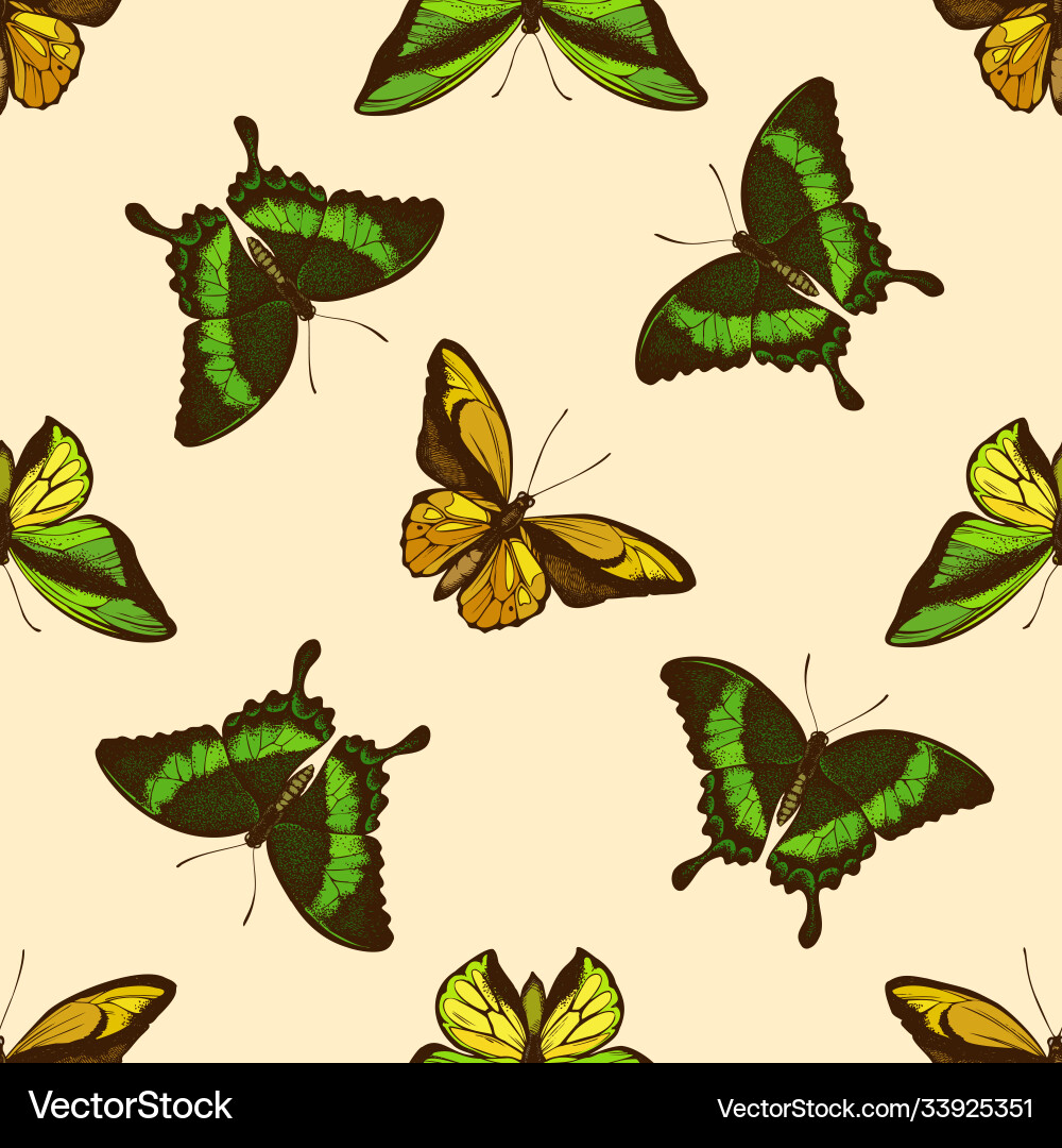 Seamless pattern with hand drawn colored wallace s