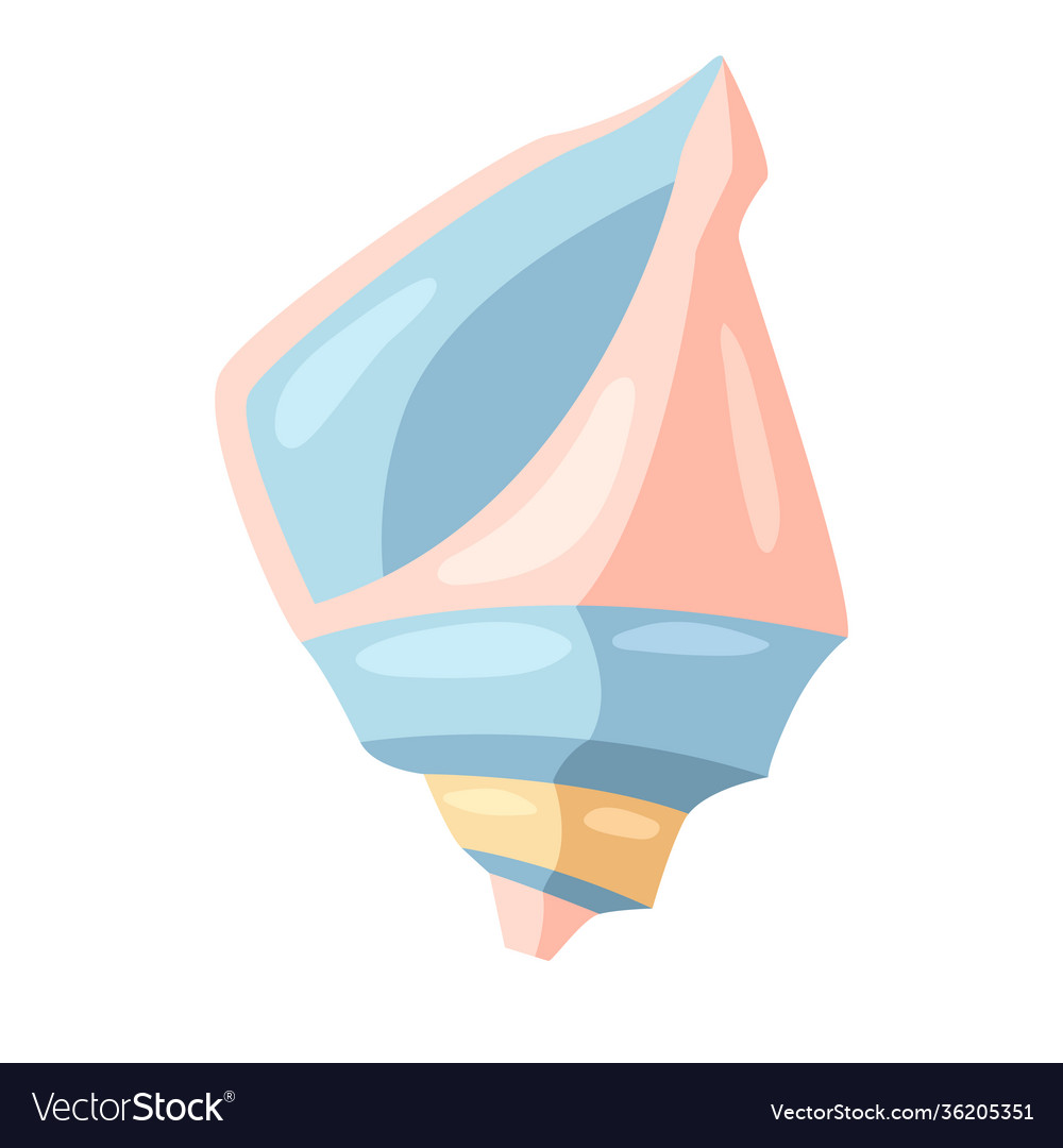 Seashell Royalty Free Vector Image - VectorStock