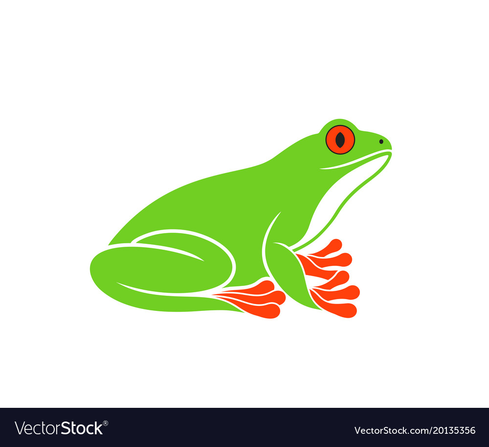 Tree frog Royalty Free Vector Image - VectorStock
