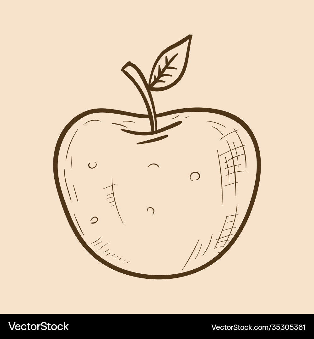 An apple hand drawn sketch art Royalty Free Vector Image