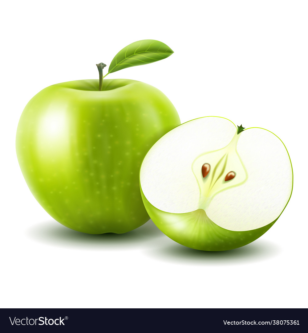 Apples whole apple and half isolated Royalty Free Vector