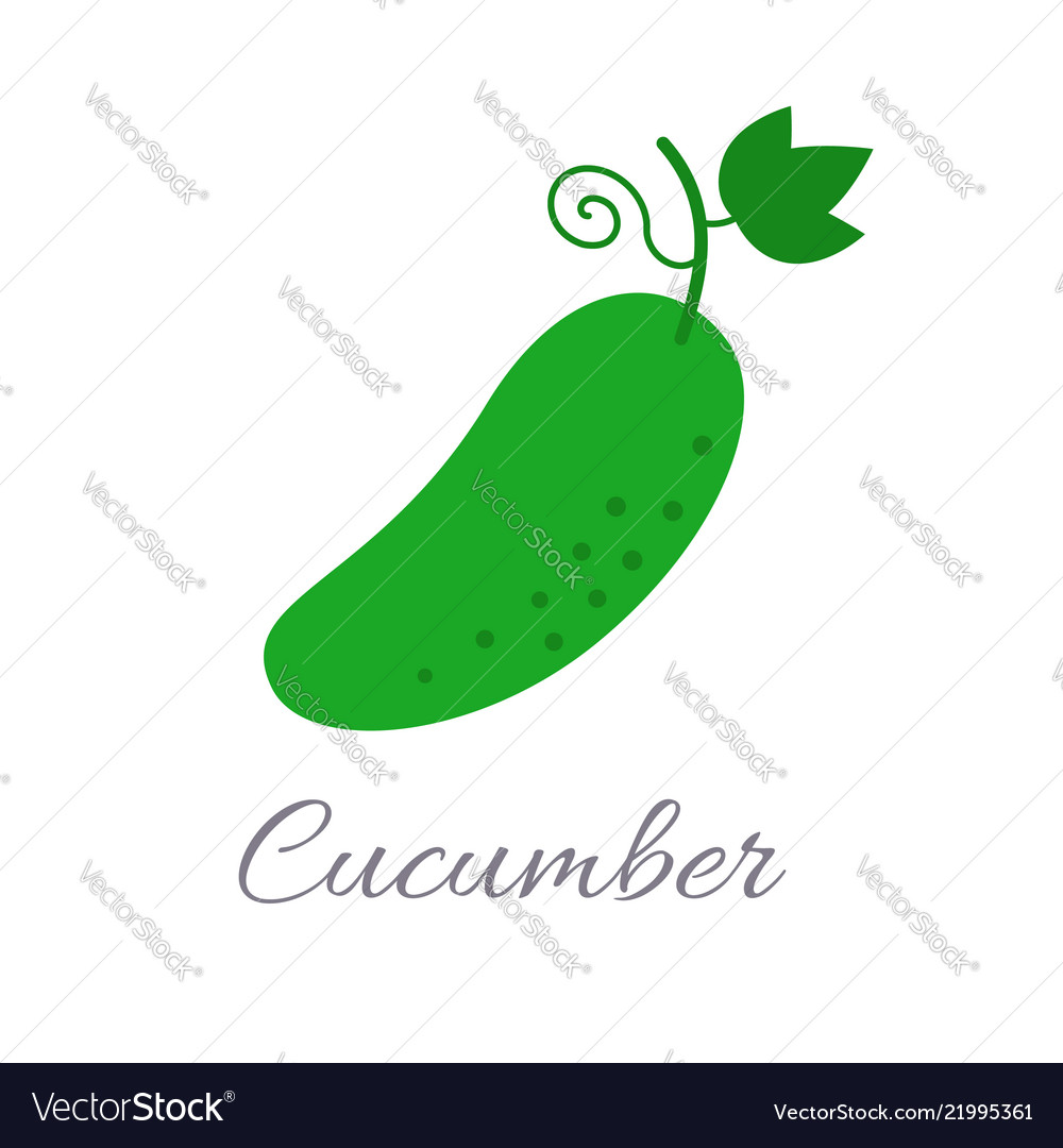Cucumber icon with title Royalty Free Vector Image