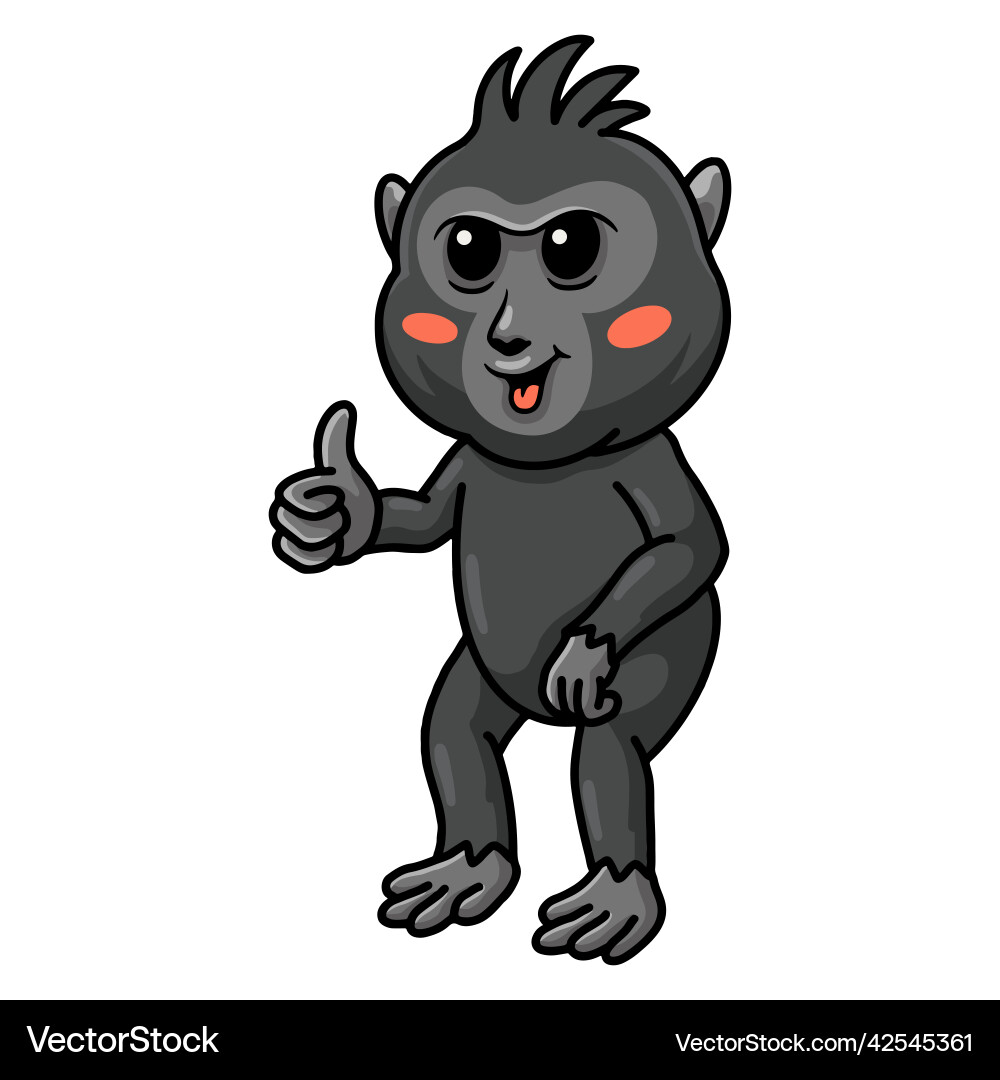 Cute little crested black macaque cartoon Vector Image