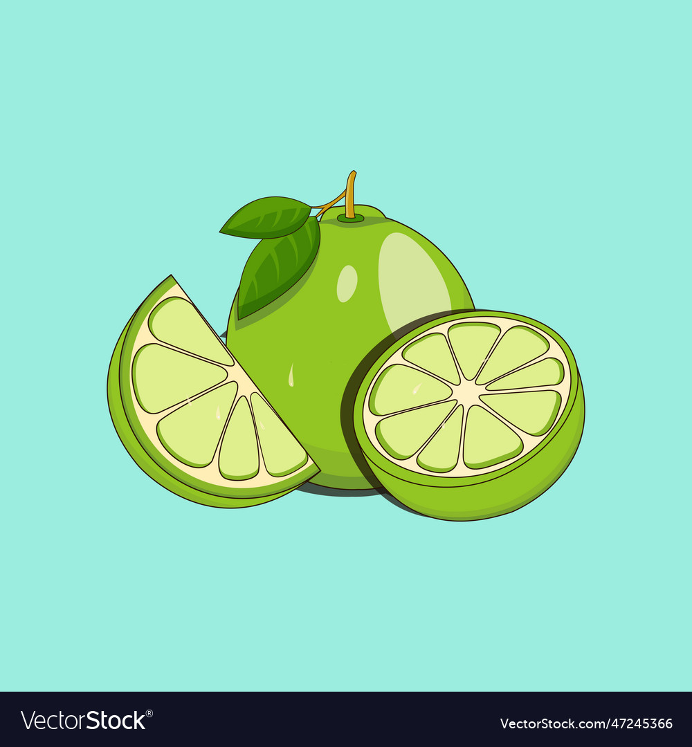 Lime Royalty Free Vector Image - VectorStock