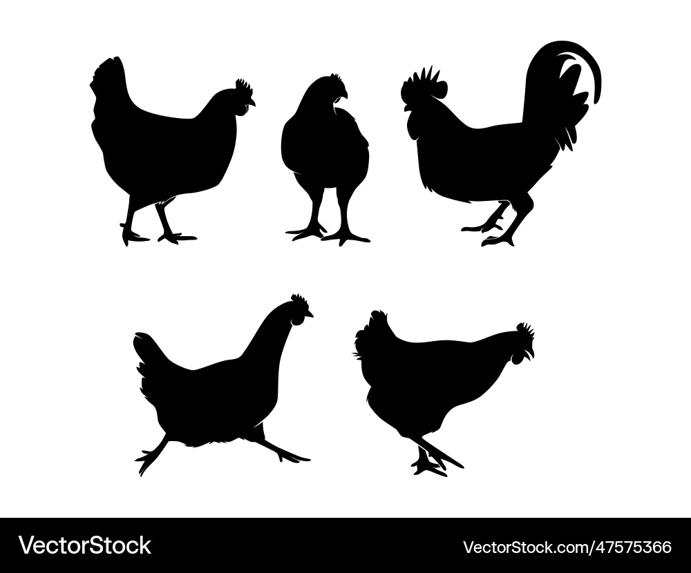 Set of chickens silhouette isolated Royalty Free Vector