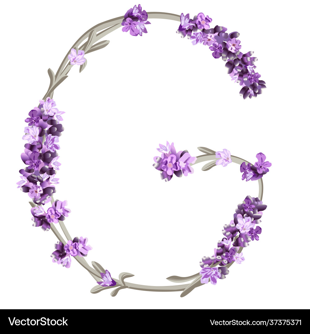 Image capital letter g english Royalty Free Vector Image