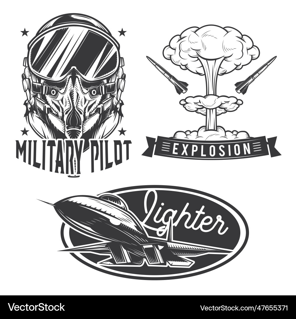 Set of aviation emblems labels badges logos Vector Image