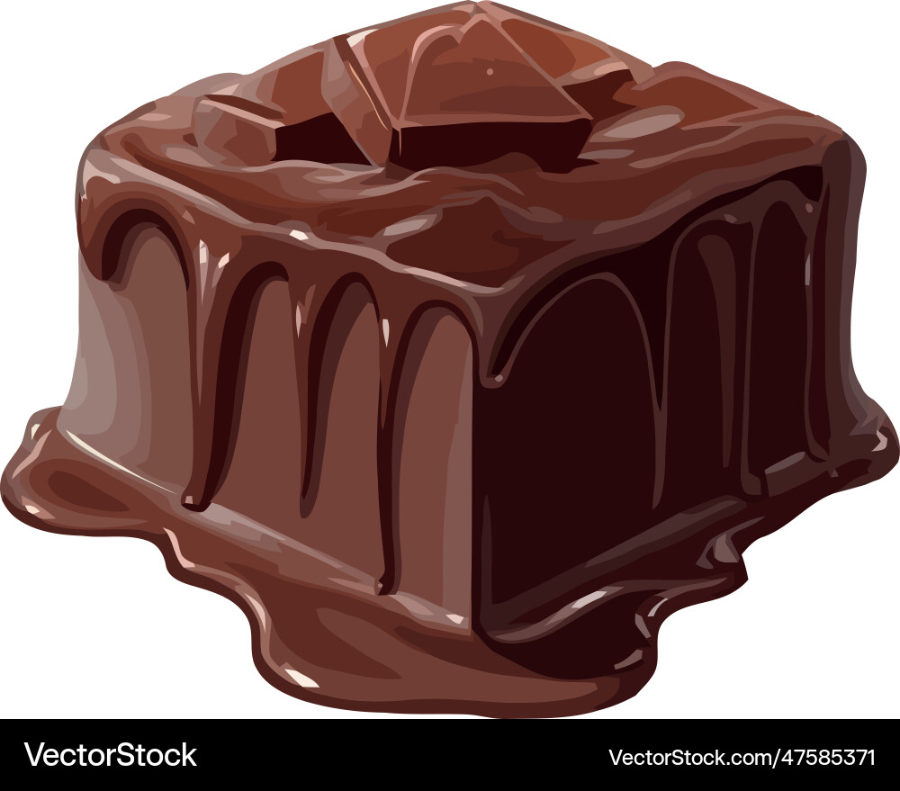 Sweet chocolate dessert with creamy icing Vector Image