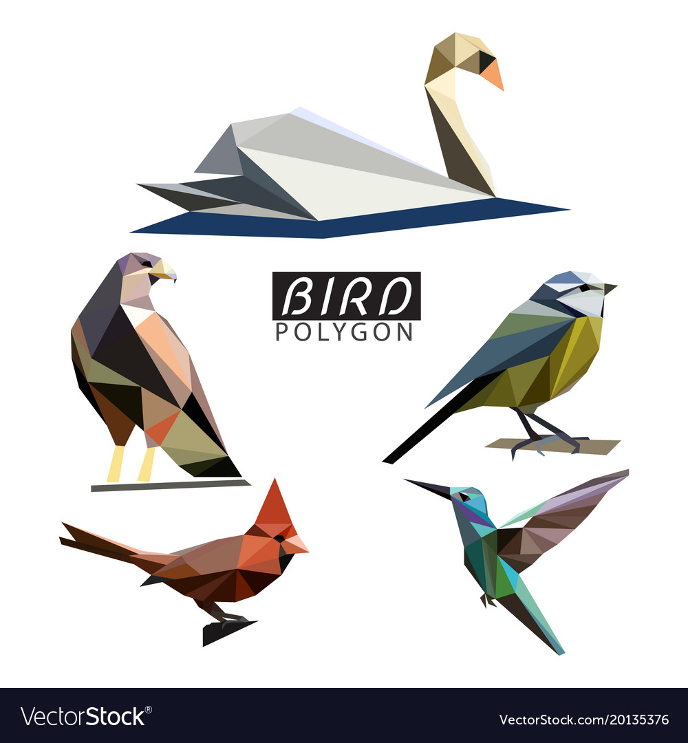 Bird polygon Royalty Free Vector Image - VectorStock