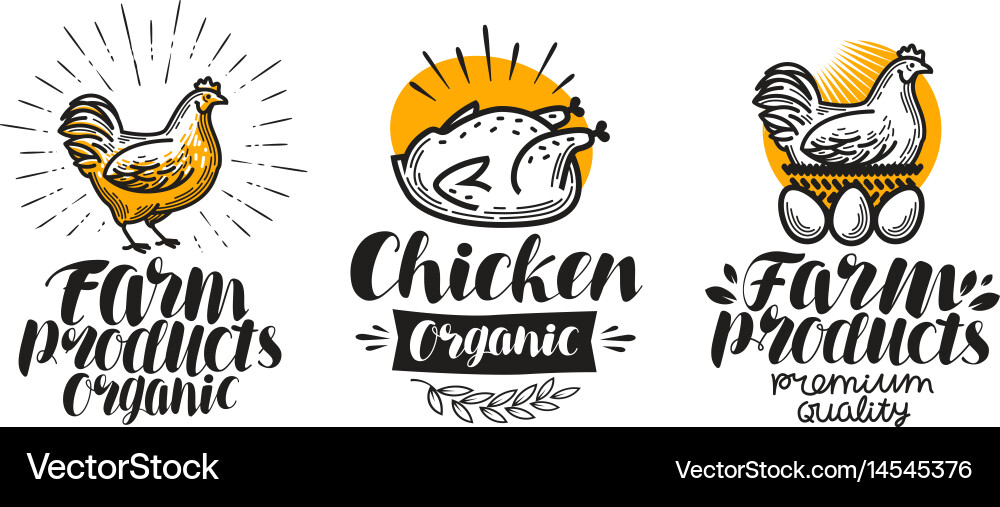 Chicken hen label set poultry farm egg meat Vector Image