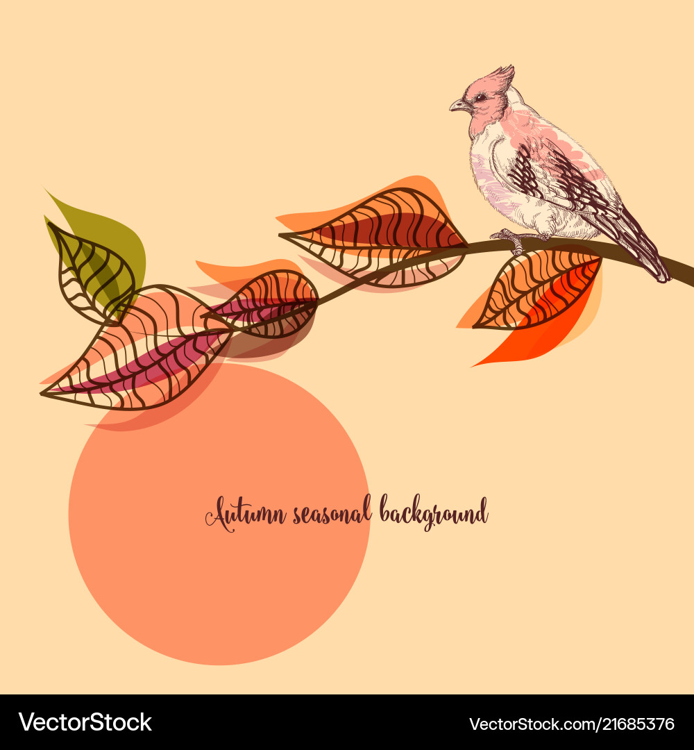 Fall seasonal background bird on a tree branch Vector Image