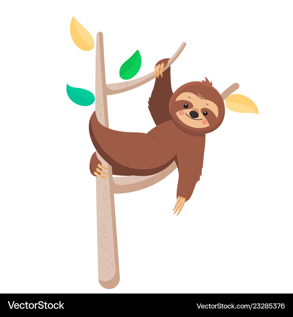 Joyful cute cartoon sloth hanging on a branch Vector Image