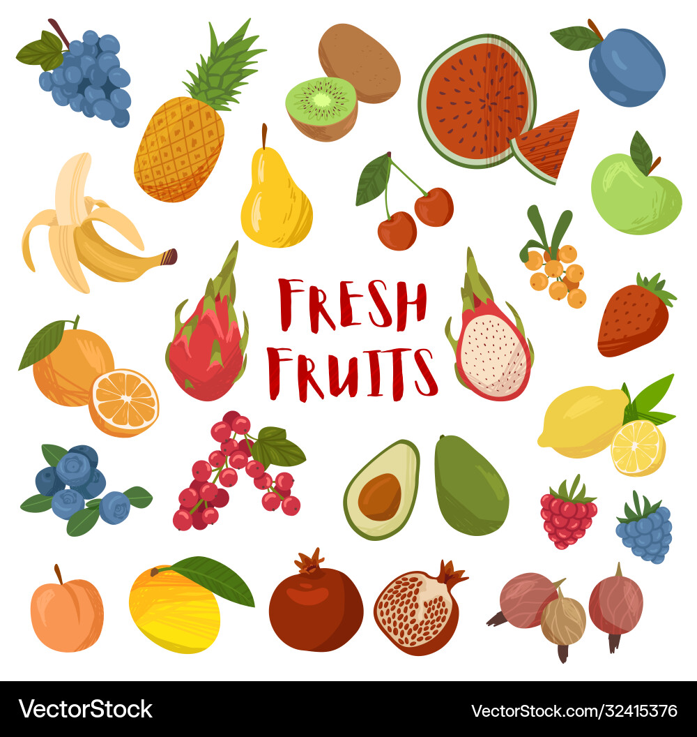Large collection colorful cartoon fresh fruit Vector Image
