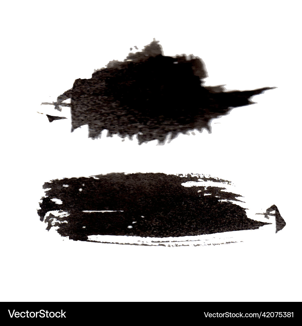 Black ink blot isolated on a white background Vector Image