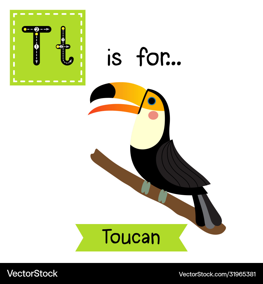 Letter t tracing toucan bird Royalty Free Vector Image
