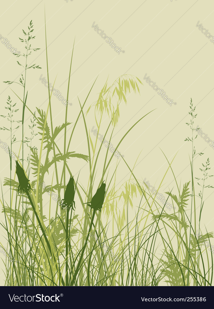 Grass background Royalty Free Vector Image - VectorStock