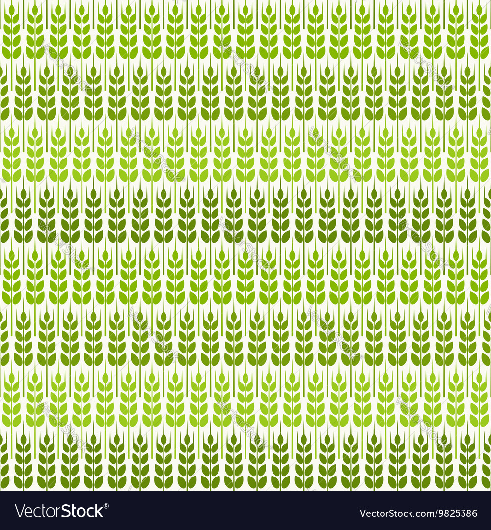 Green wheat seamless pattern Royalty Free Vector Image