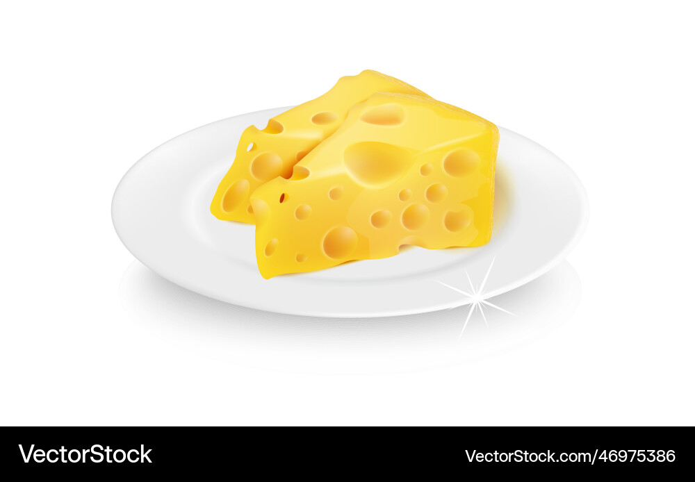 Realistic 3d cheese on a white plate delicious Vector Image