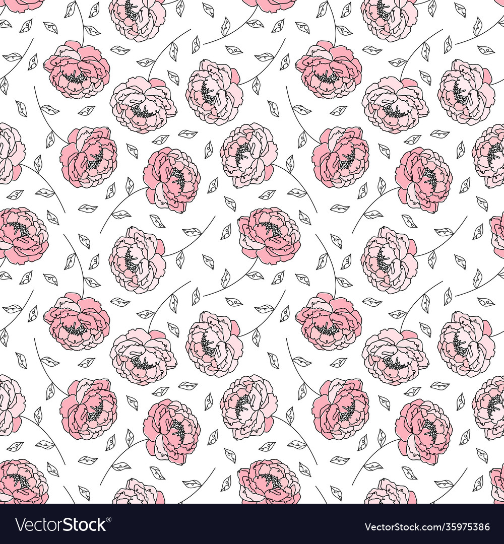 Seamless pattern pink peony flower in one Vector Image