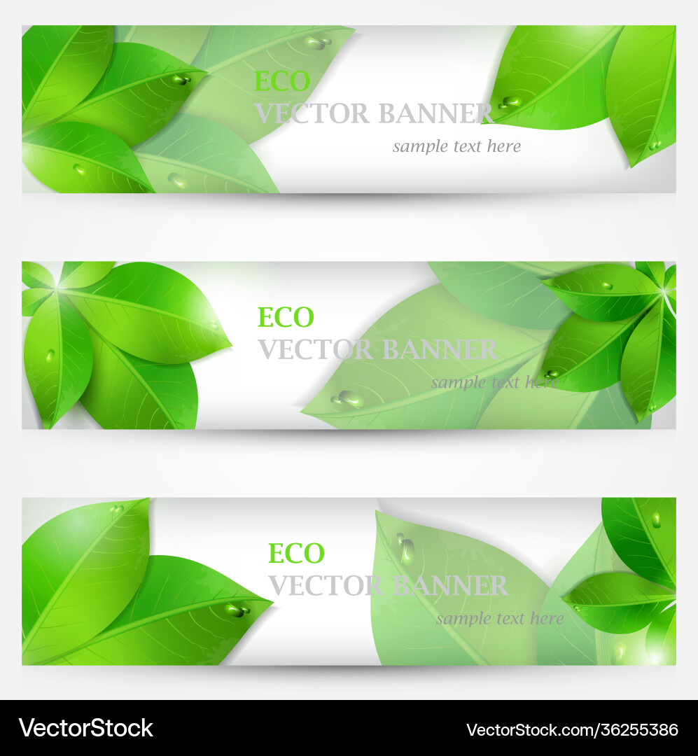 Set banner ecology colorful Royalty Free Vector Image
