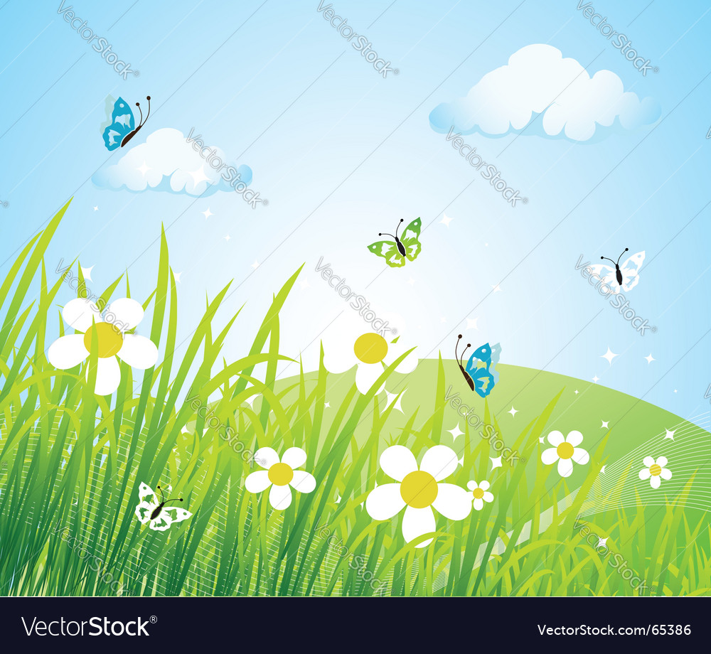 Spring meadow Royalty Free Vector Image - VectorStock