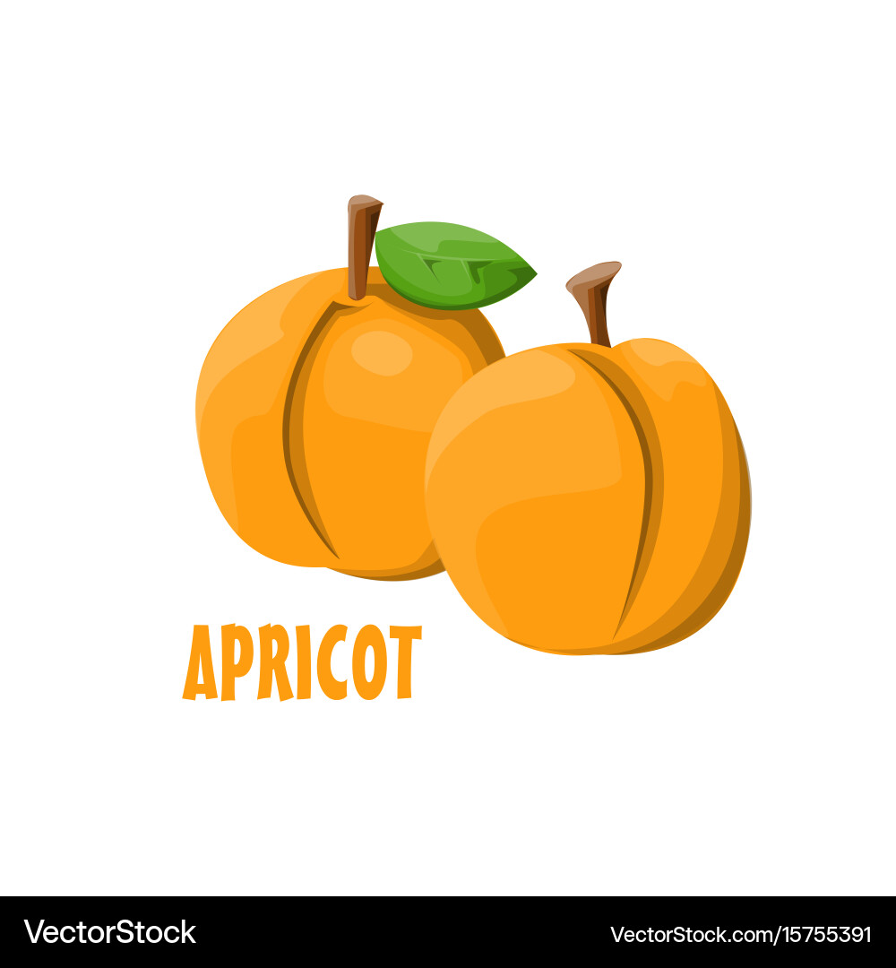 Logo apricot farm design Royalty Free Vector Image