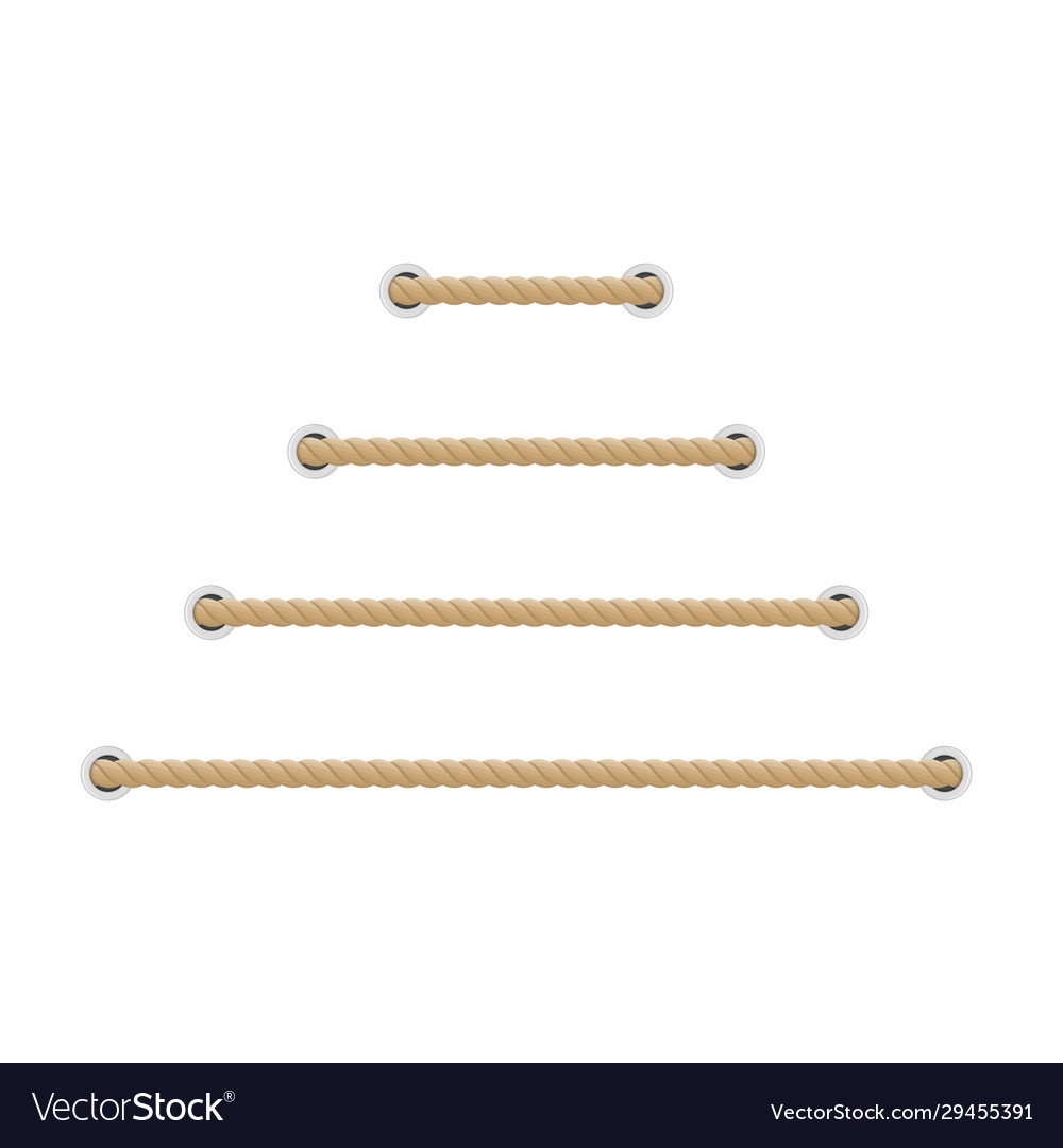 Looped ropes with holes Royalty Free Vector Image