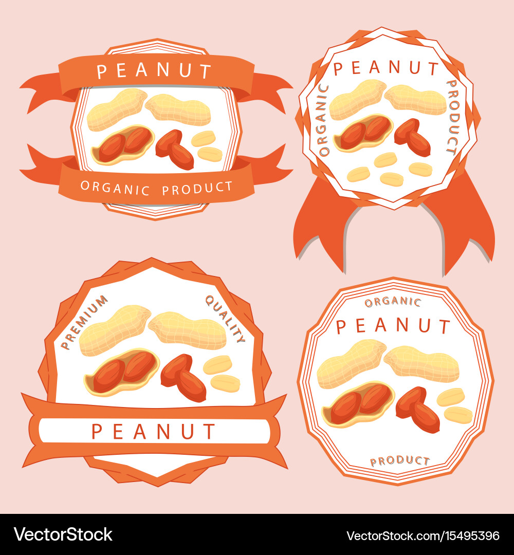 Theme peanut Royalty Free Vector Image - VectorStock