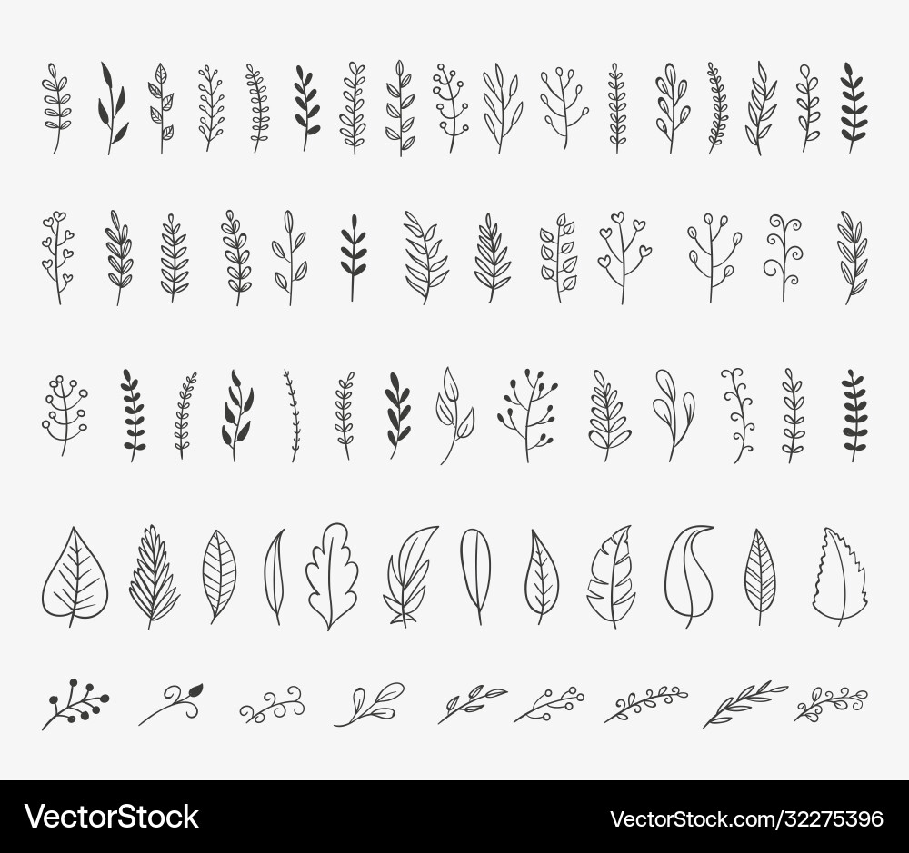 Variety floral decoration set Royalty Free Vector Image