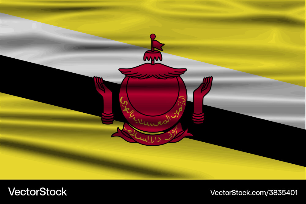 Flag of brunei with old texture Royalty Free Vector Image