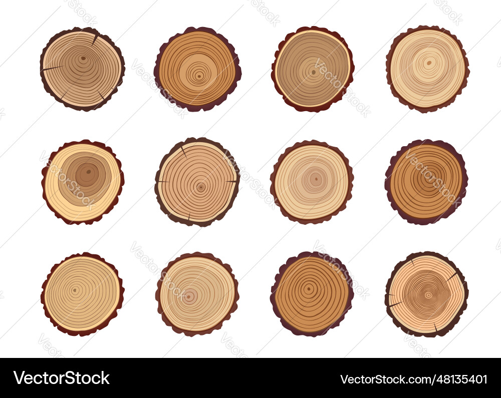 Tree trunks or wood cut stumps with annual circles