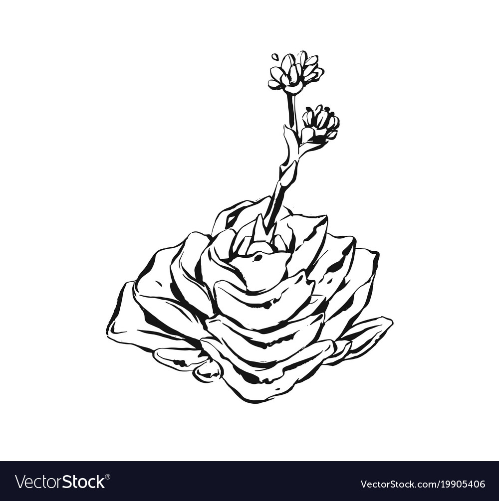 Hand drawn abstract artistic ink textured Vector Image